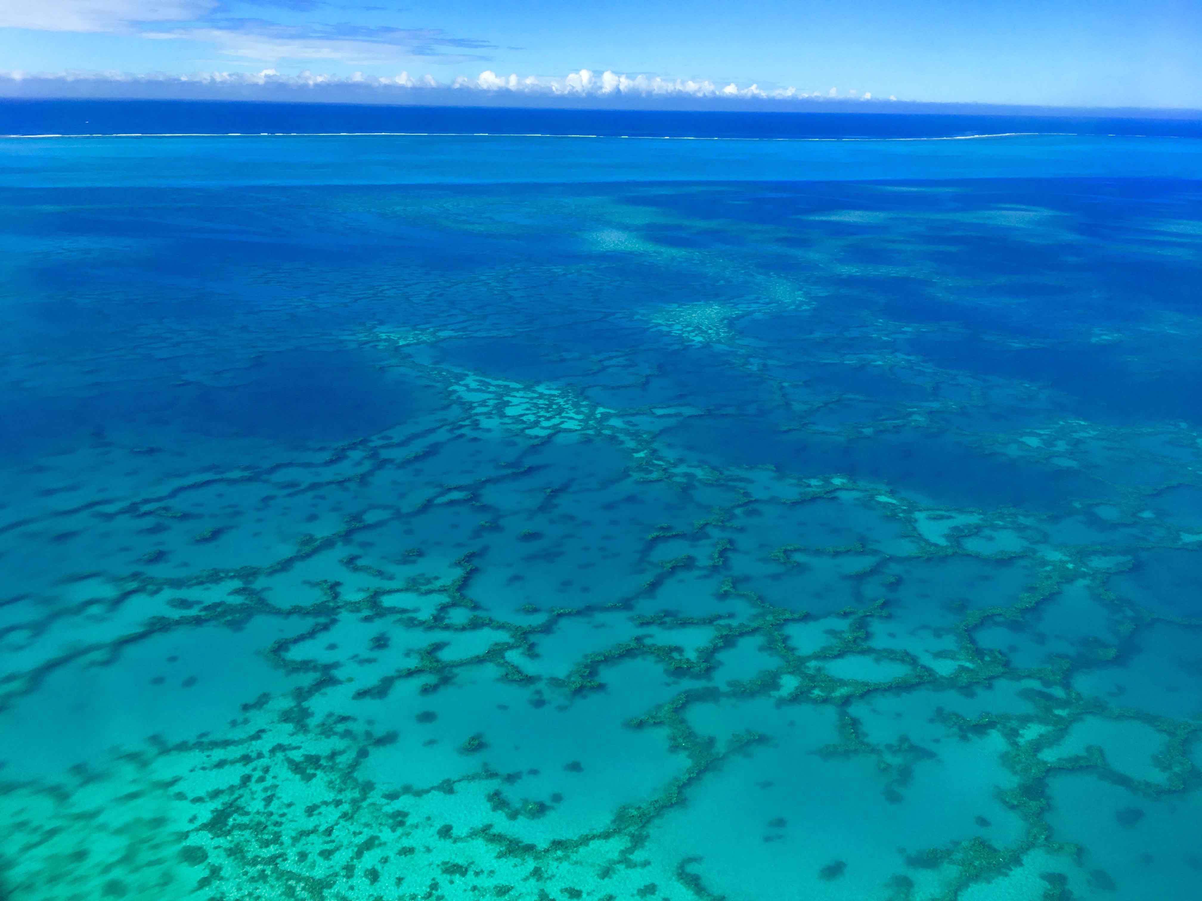 Deux appels à projets pour valoriser le parc de la mer de Corail | Les ...
