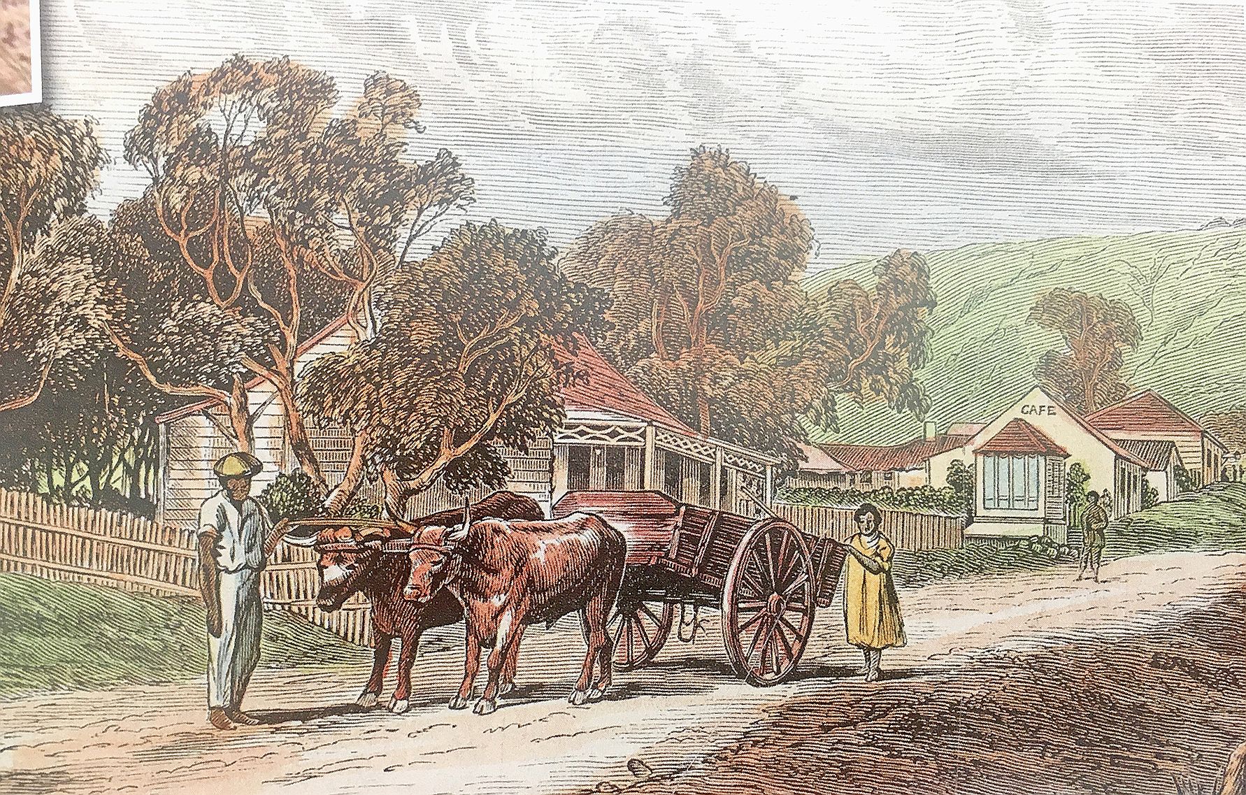 Les 1 260 événements qui ont construit Nouméa | Les Nouvelles Calédoniennes