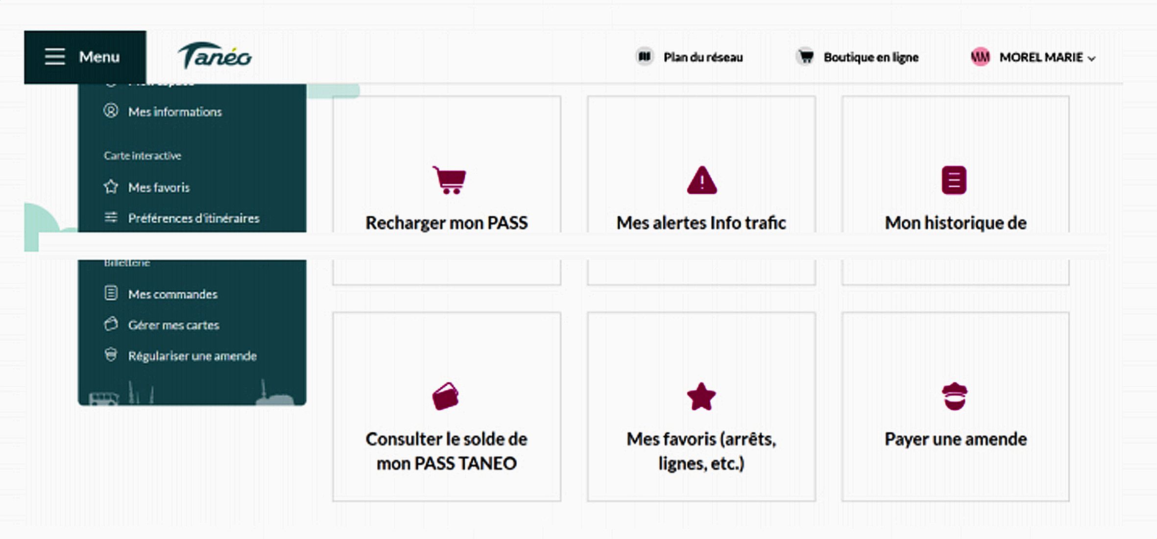 Tanéo ouvre sa boutique en ligne | Les Nouvelles Calédoniennes