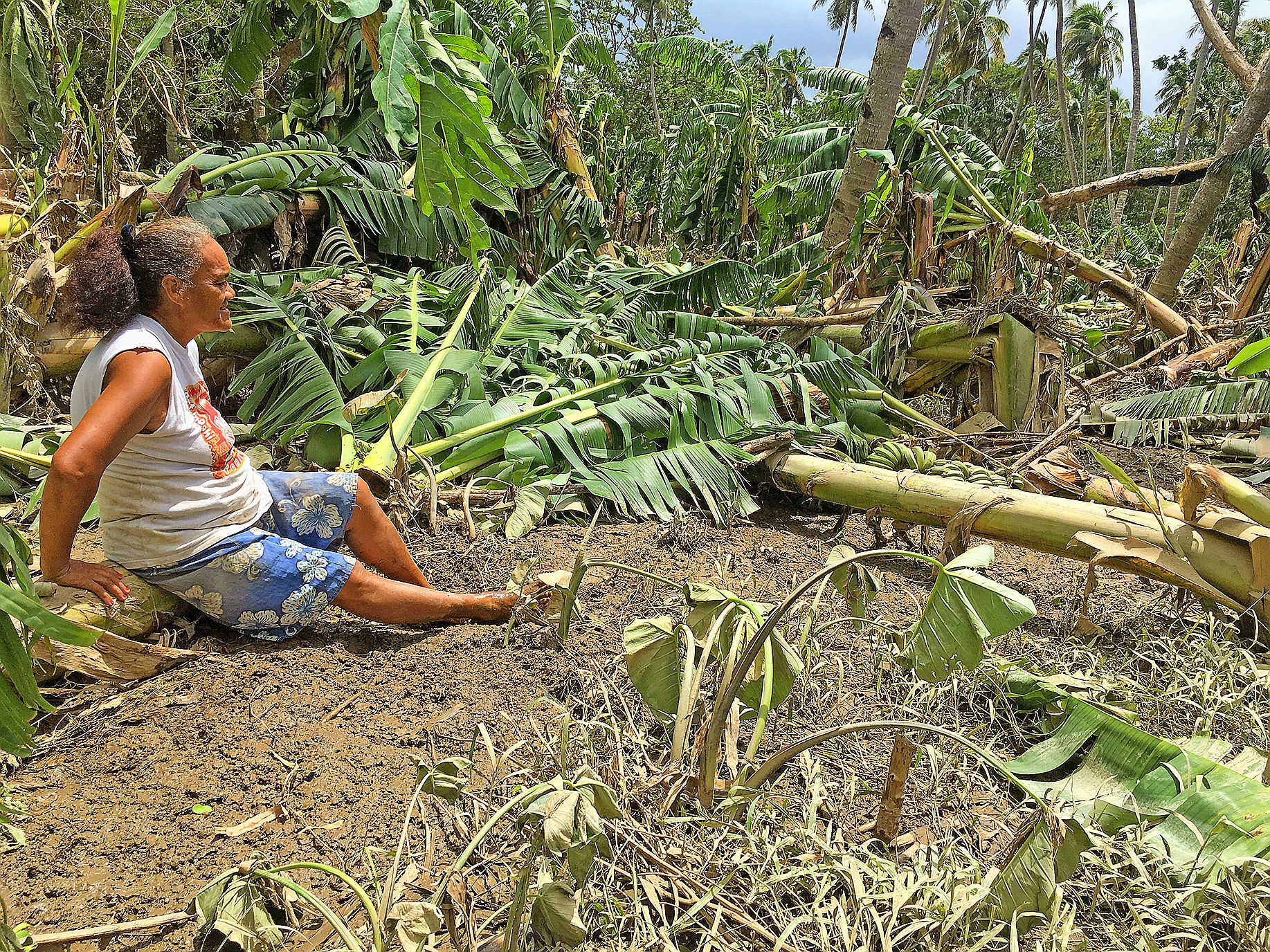 Les cyclones pourraient être deux fois moins nombreux d’ici 2100 | Les ...