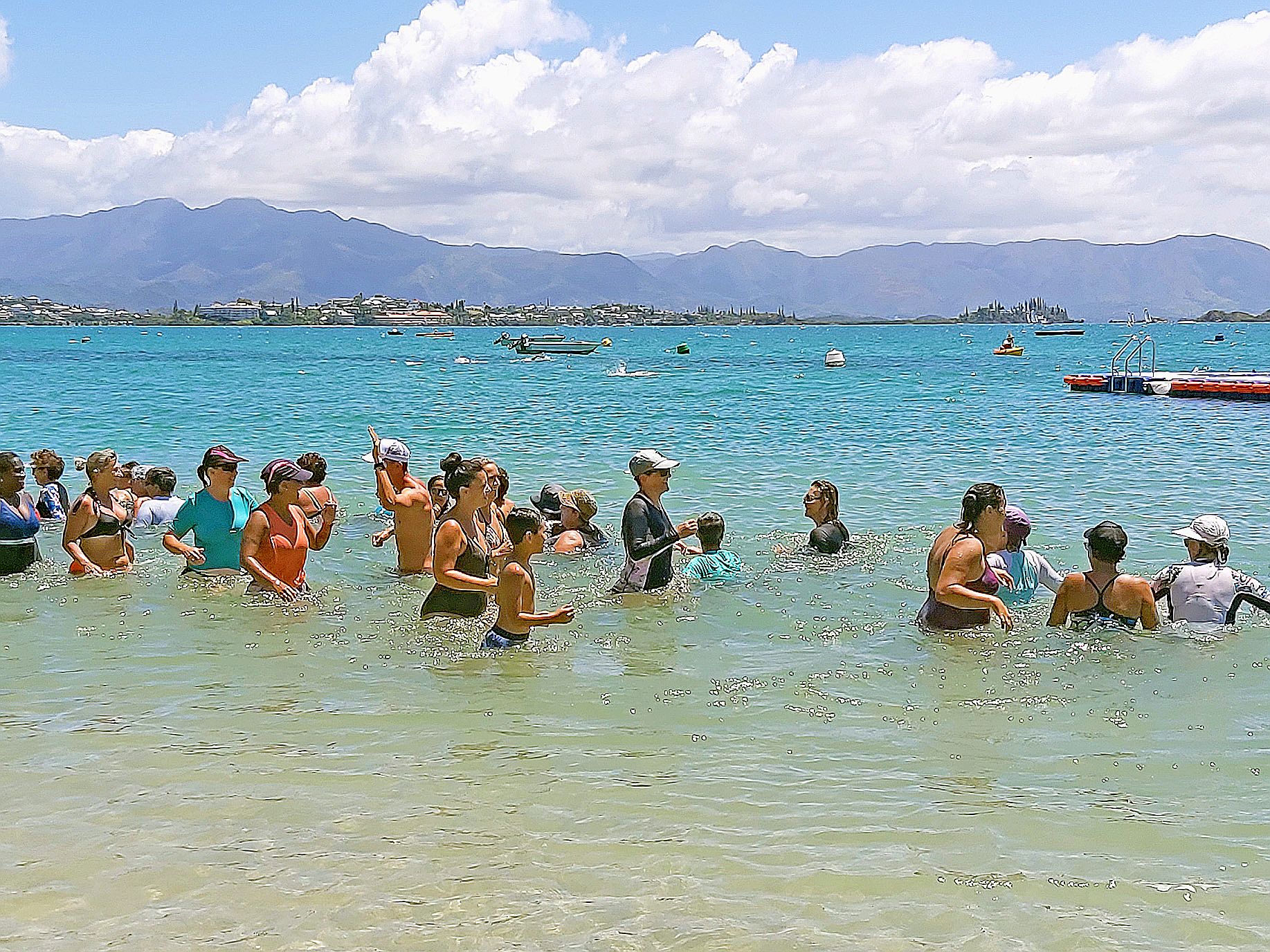 L’Olympique natation invite à bouger en mer au Can | Les Nouvelles ...